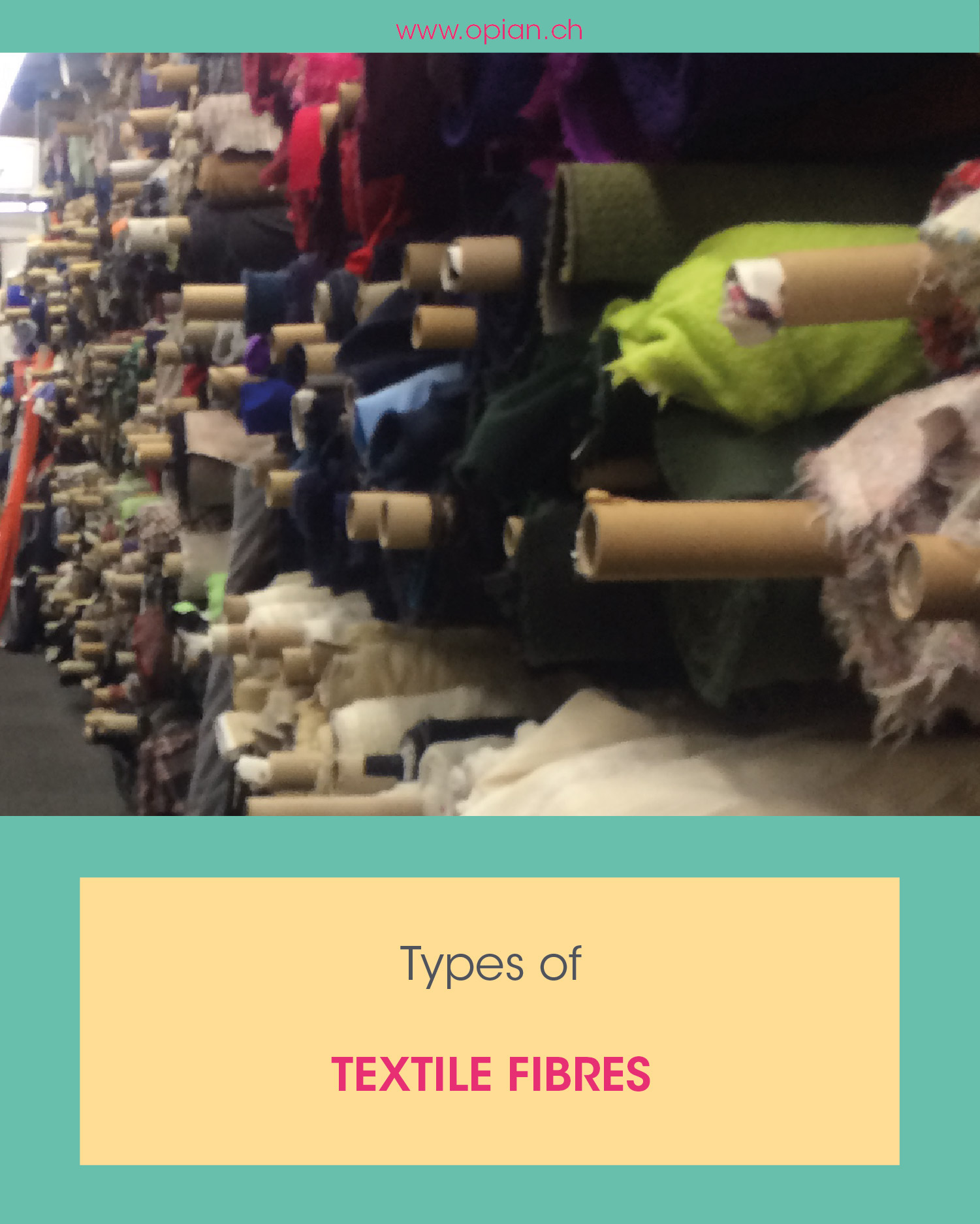 Discover the different types of fibres